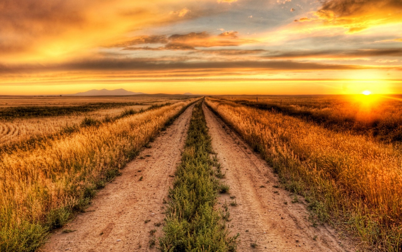 Set your eyes on the path – Soaking in God's Word