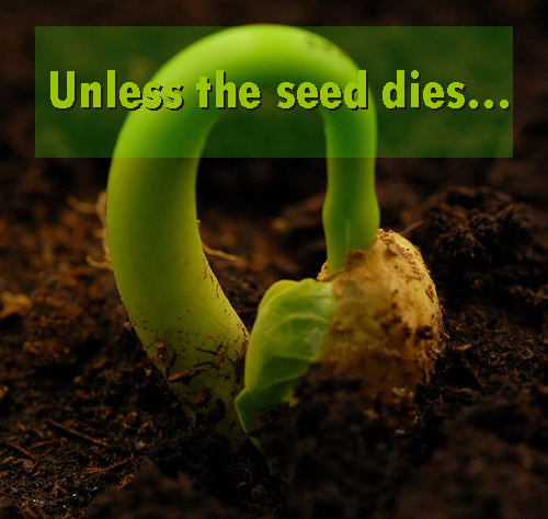 The Seed Must be buried to die, then LIVE… – Soaking in God's Word